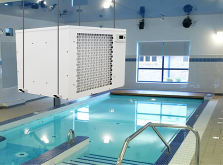 Why Choose a Wall Mounted Dehumidifier for Swimming Pool | Preair