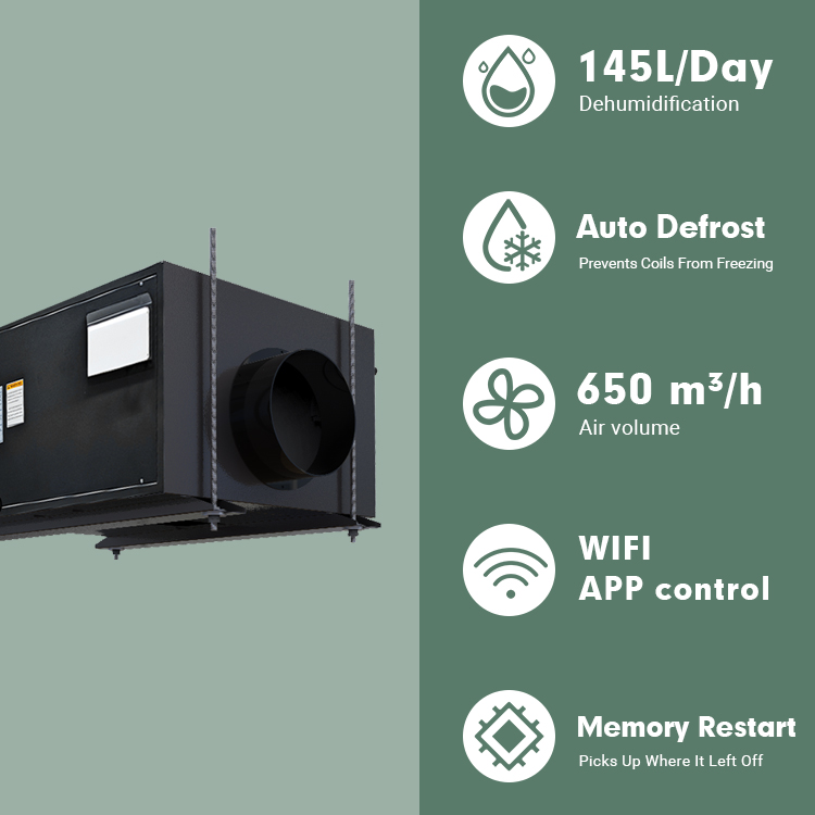 ZETA145 Energy Efficient Above Ceiling Greenhouse Dehumidifier Crawl ...